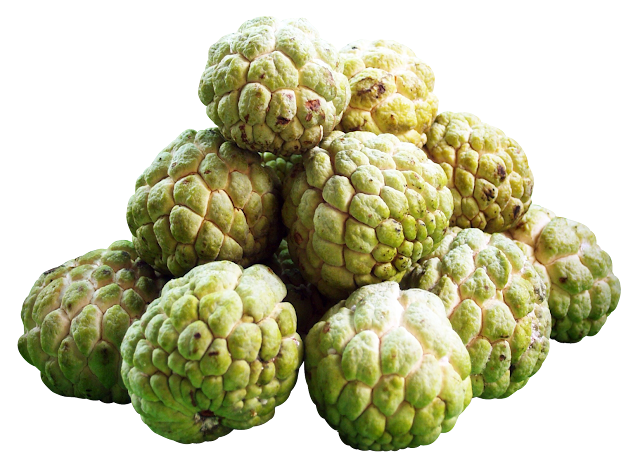 Fruits Good For Helth: 10 Amazing Health Benefits Of Custard Apples ...