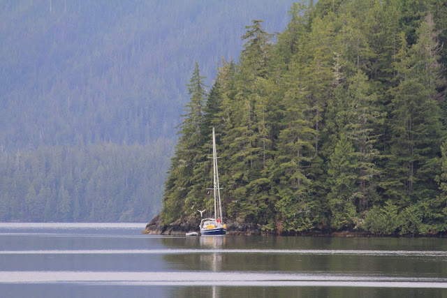 Sailing Sarita: Ewin Cove, Hot Springs Cove, Ahousat and Quait bay.