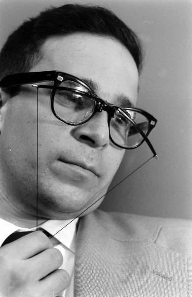 BRING ME BONSAI: Windshield-wiper-glasses