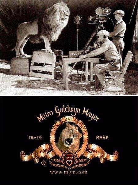The original MGM movie logo ! - AMAZEF