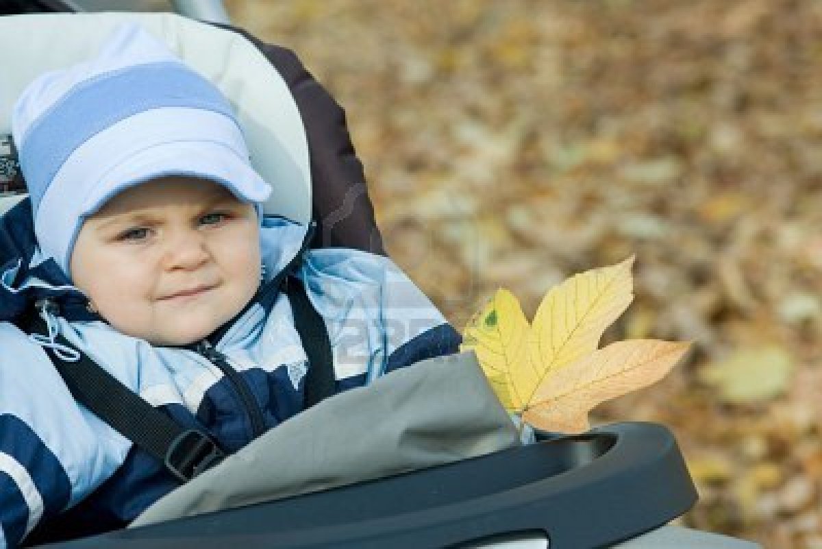 Wallpaper Gallery: Babey Wall