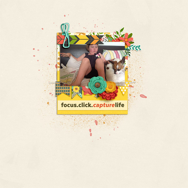 Newest Releases: Snapshot, Slides & Snapshot Journal Cards | Clever ...