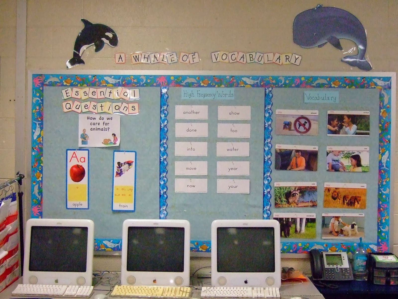 Sandy's Learning Reef: A Look Back at Unit 1 in Wonders