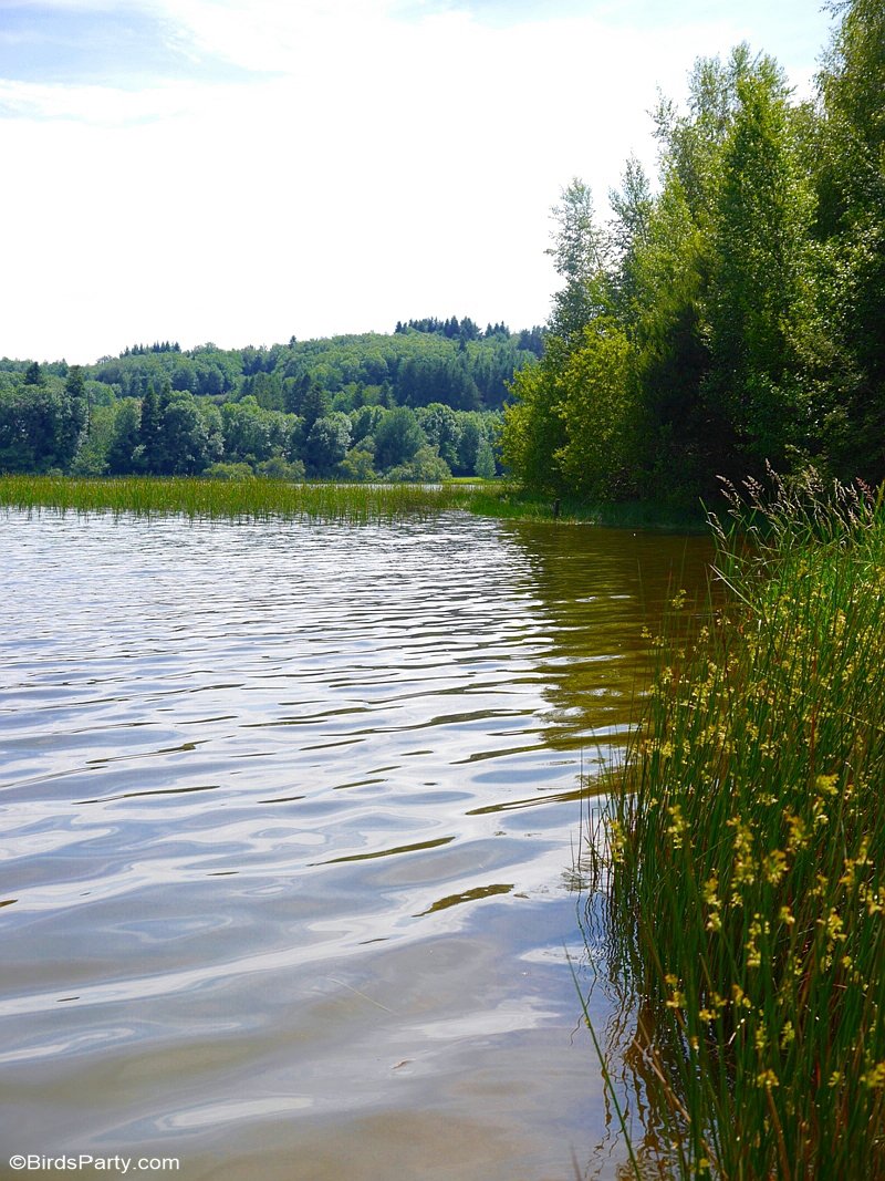 How to Throw an Epic Lake Party This Summer - Party Ideas | Party ...