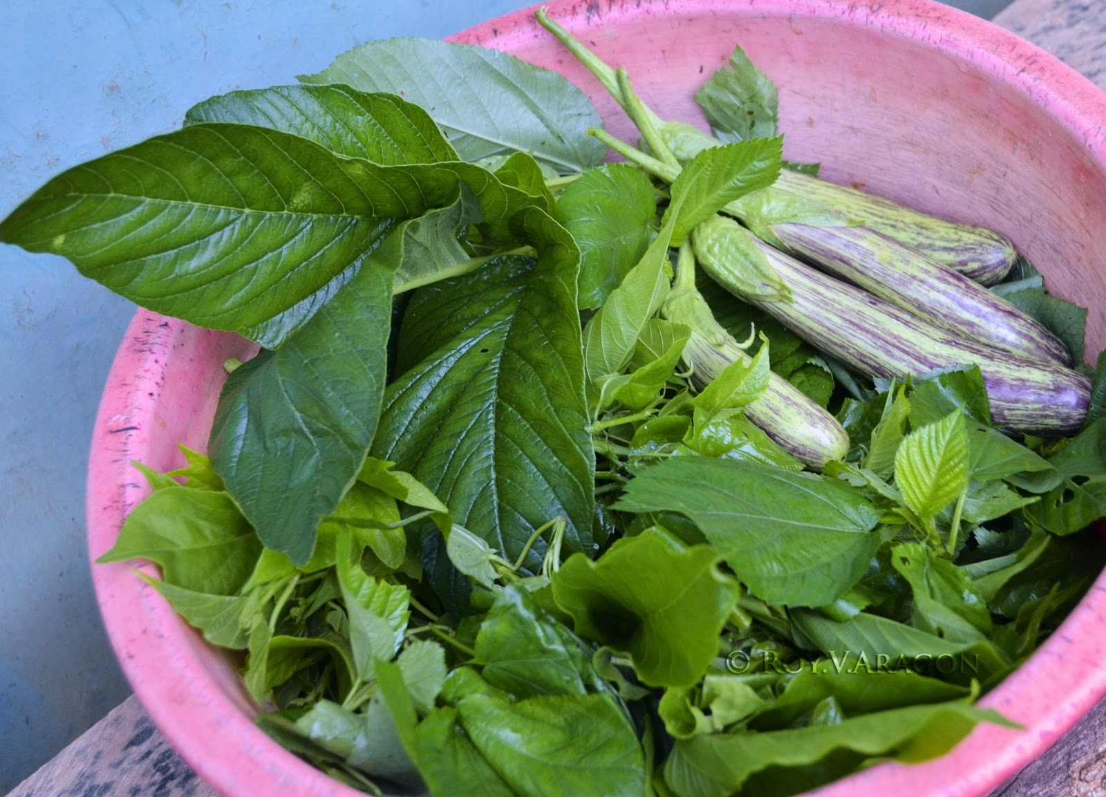 fresh veggies for dinengdeng in casantolan ~ PINAKBET REPUBLIC