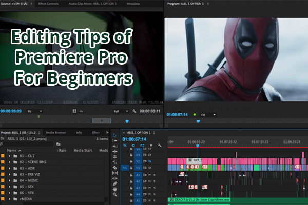 Animation Section: Editing Tips of Premiere Pro for Beginners