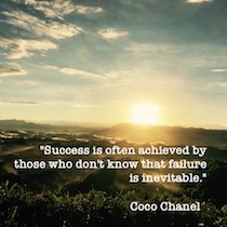 Success is often achieved by those who don't know that failure is ...