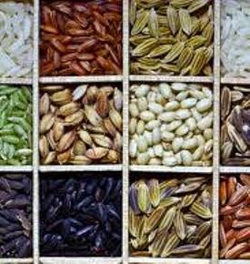 Sretni Recepti: Sva lica riže ...