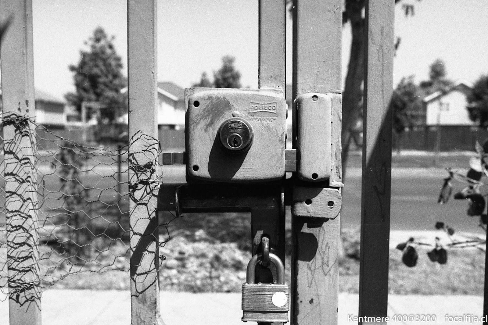 Kentmere 400 Push @800 @1600 @3200 Revelado con Rodinal