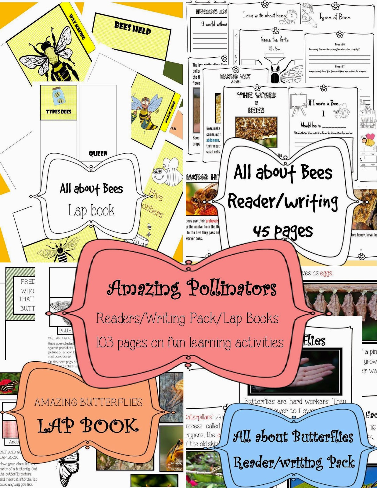 The Hermit Crabs Homeschool: All About Butterflies