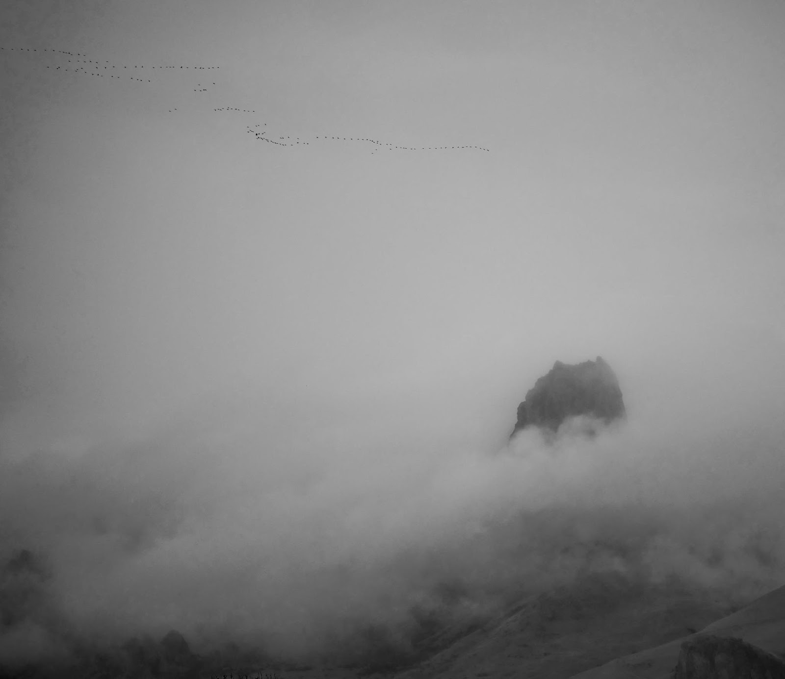 Birding Azerbaijan: Late October / early November impressions by ...