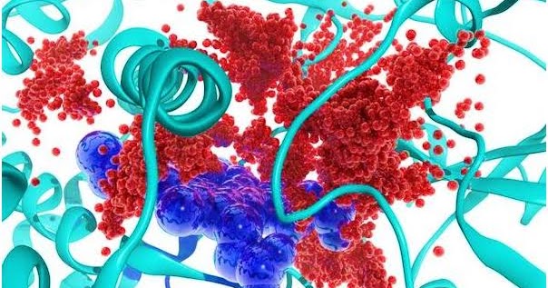 Enzim ( Pengertian, Sifat, Fungsi, Ciri-Ciri, Macam-macam dan Mekanisme ...