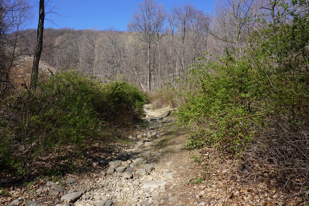 Harriman Hiker: Harriman State Park and Beyond: Catamount Mountain ...