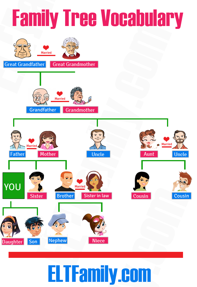 ENGLISH BLOG (Nivel inicial): VOCABULARIO: LA FAMILIA