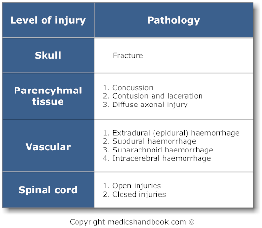What Is Cortical Disruption