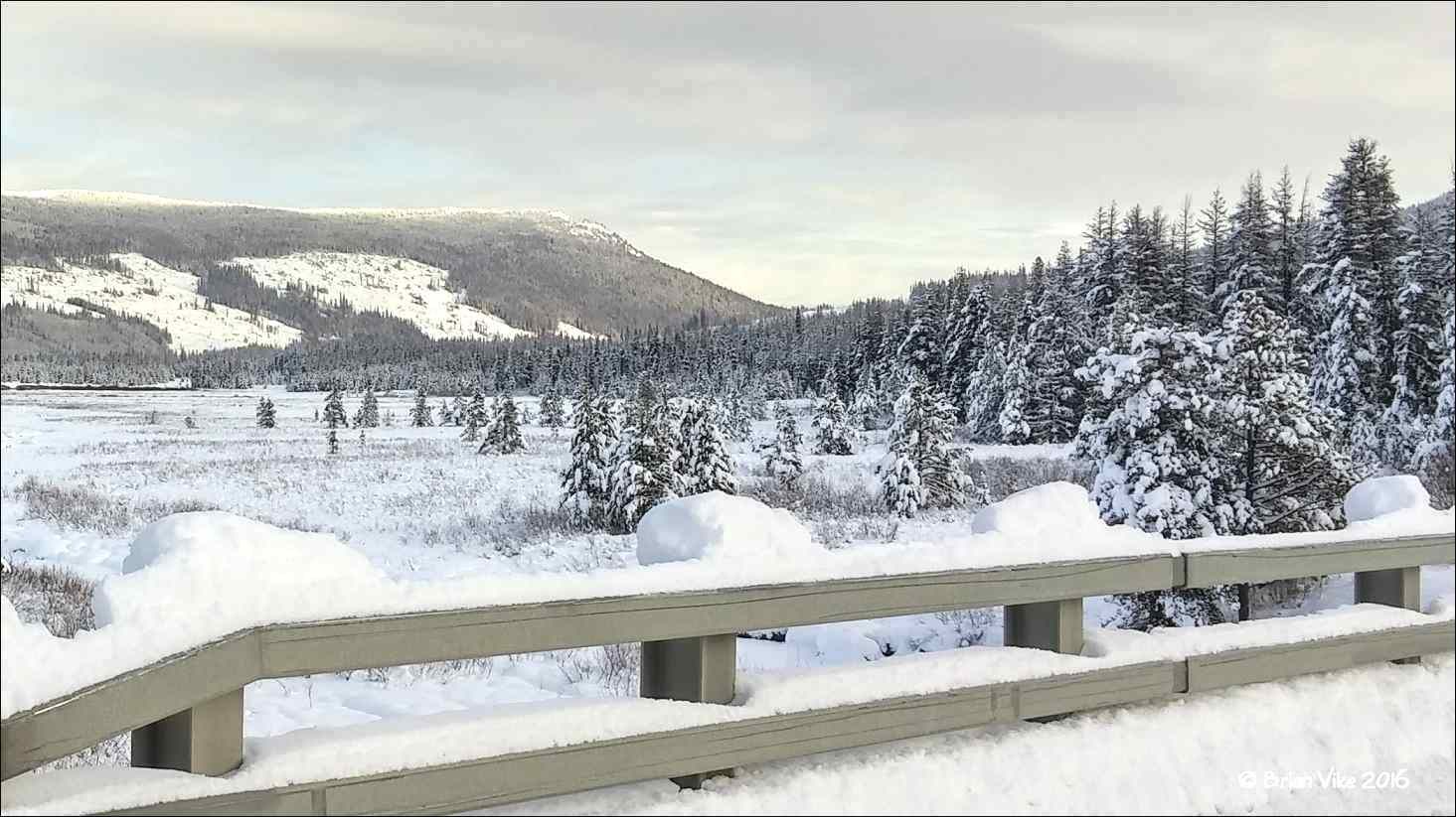 Northern Interior British Columbia: Winter's December 2015 Snowfall 4 ...