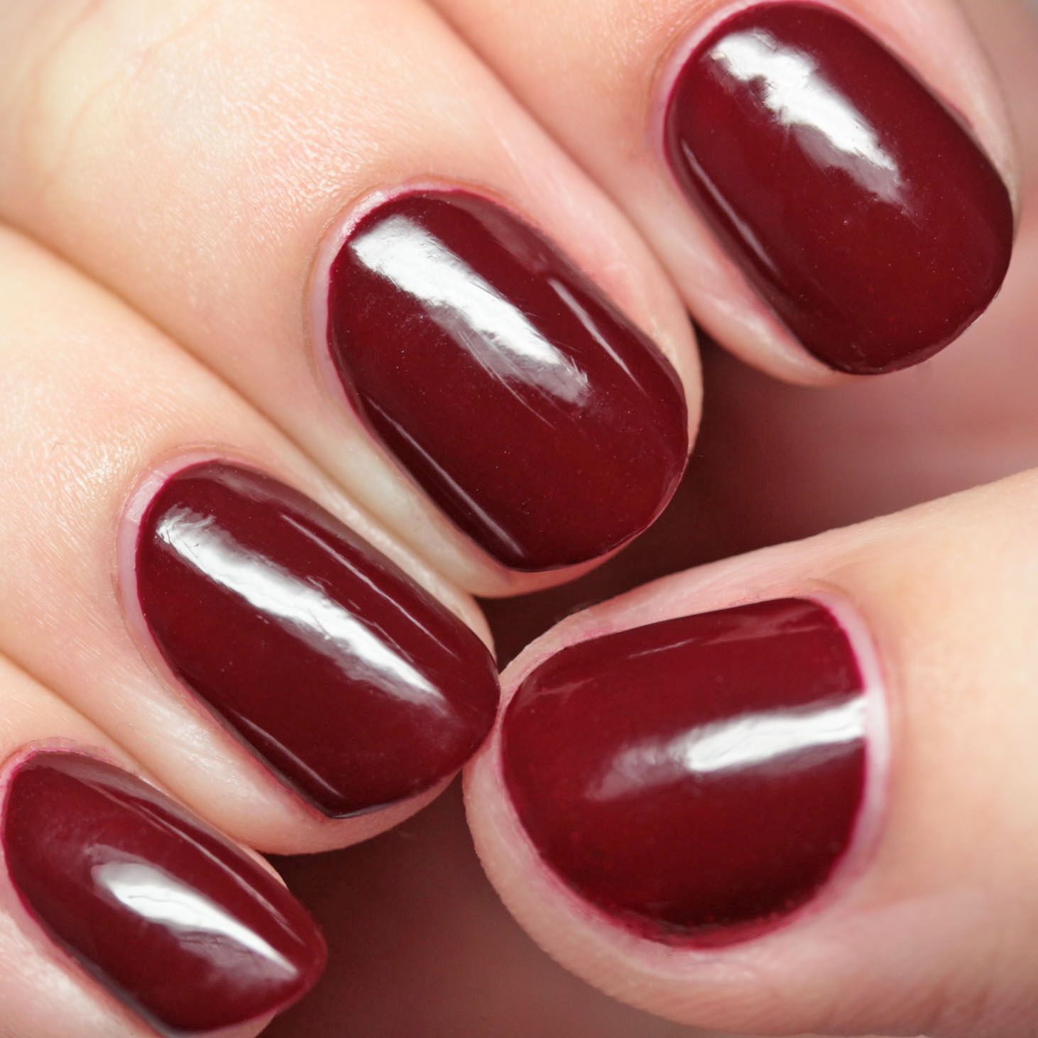 The Polished Hippy: Sally Hansen Plum's the Word for Fall Swatches and ...