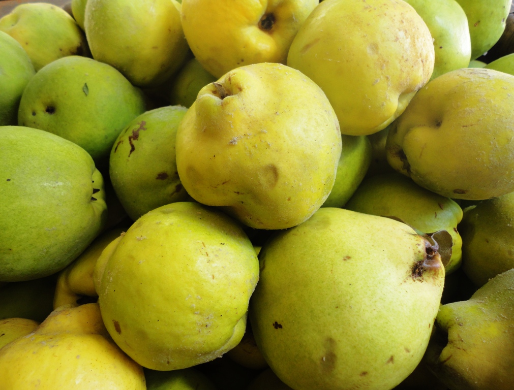 EB1 ALDEIA DE JOANES: MARMELOS