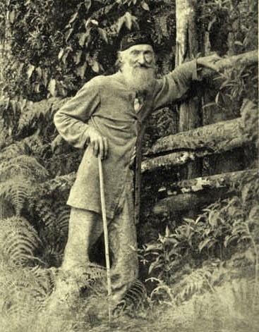 Angelina Wittmann - Arte-Cultura-História e Antropologia : Fritz Müller ...