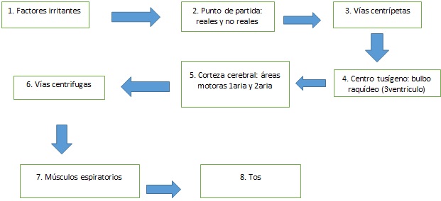 Fisiopatologia de la tos