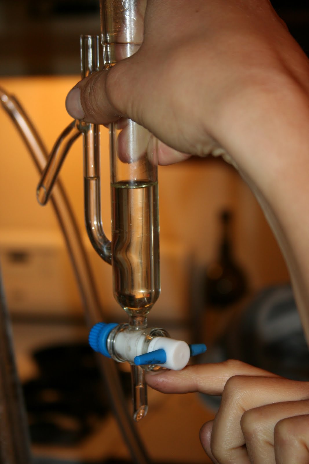 the joy jar.: Essential Oil Distillation...with steam!