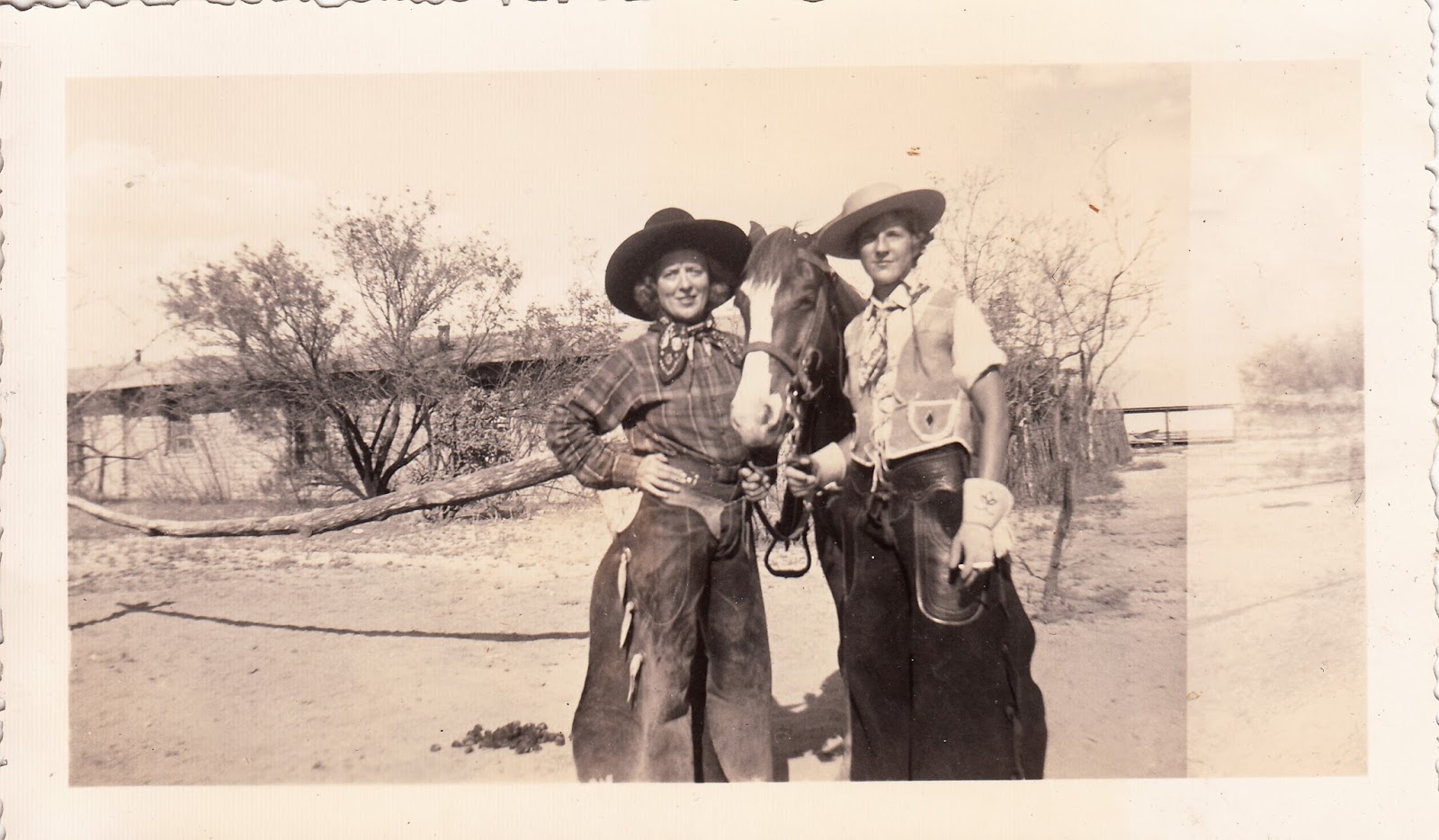 Dull Tool Dim Bulb: Real Cowgirls original snapshot photograph circa ...