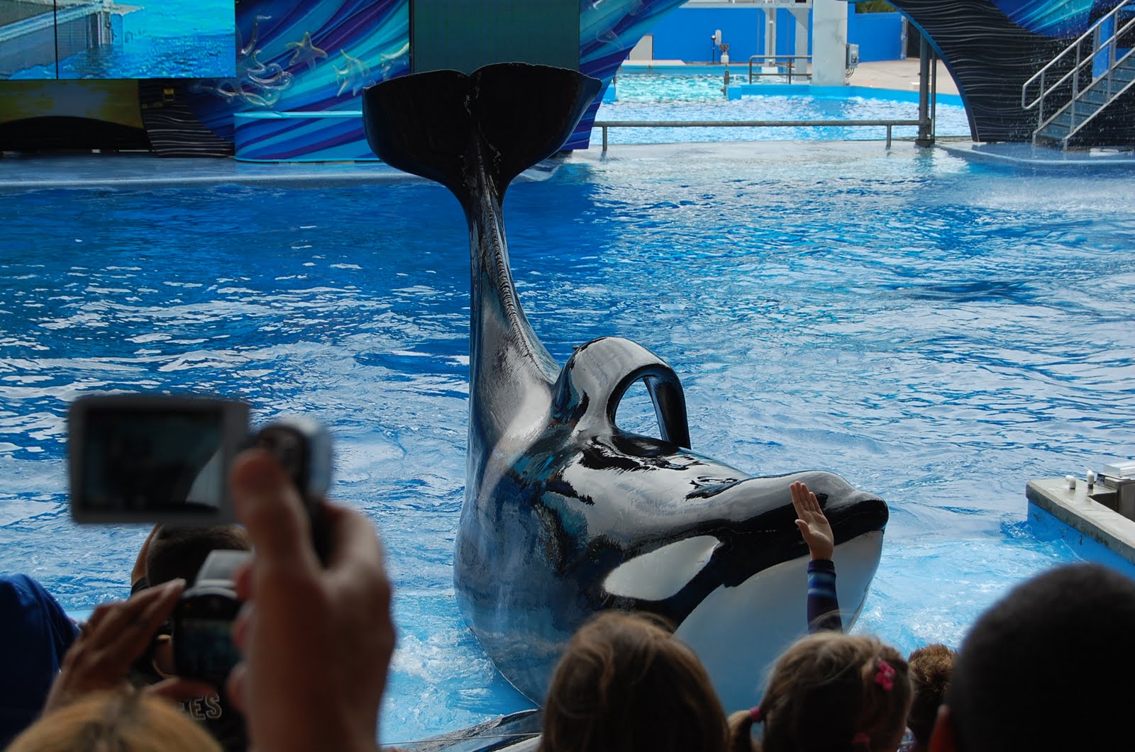 THEY CALL ME...MEME!: SeaWorld, Kristin and her Whales!!