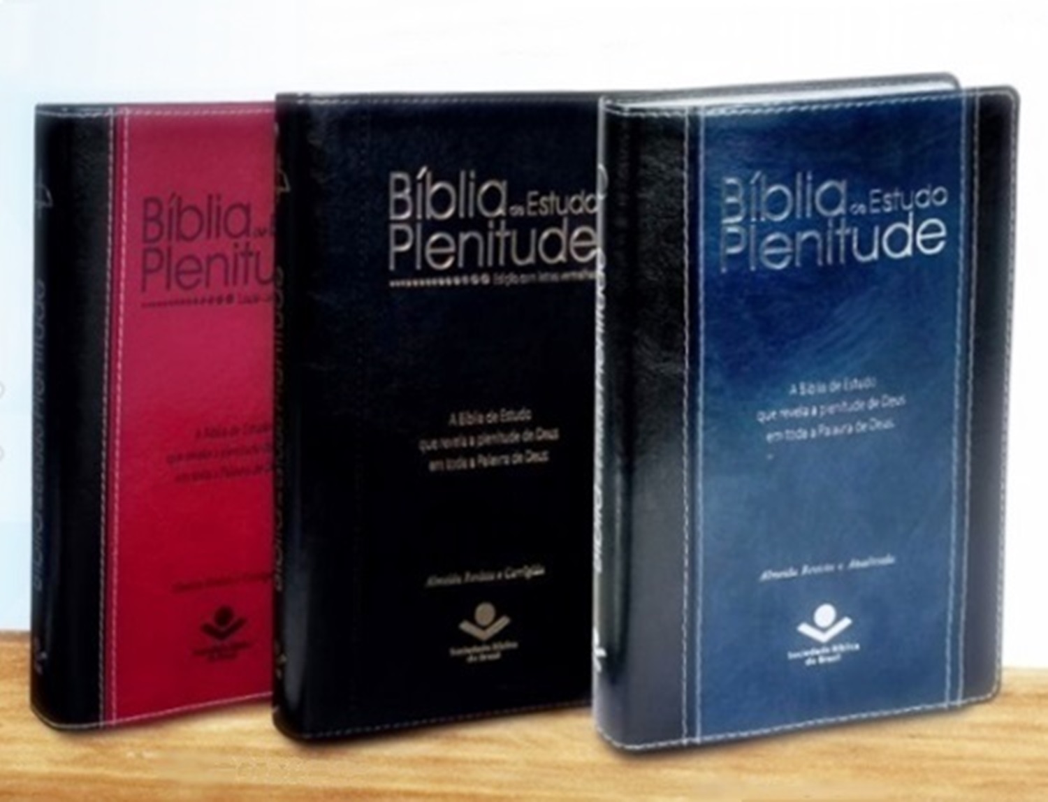 Eliseu Antonio Gomes: Bíblia de Estudo Plenitude: formato impresso e ...