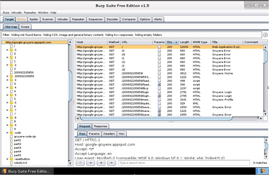 Security Vibes : Burp Suite- Spider