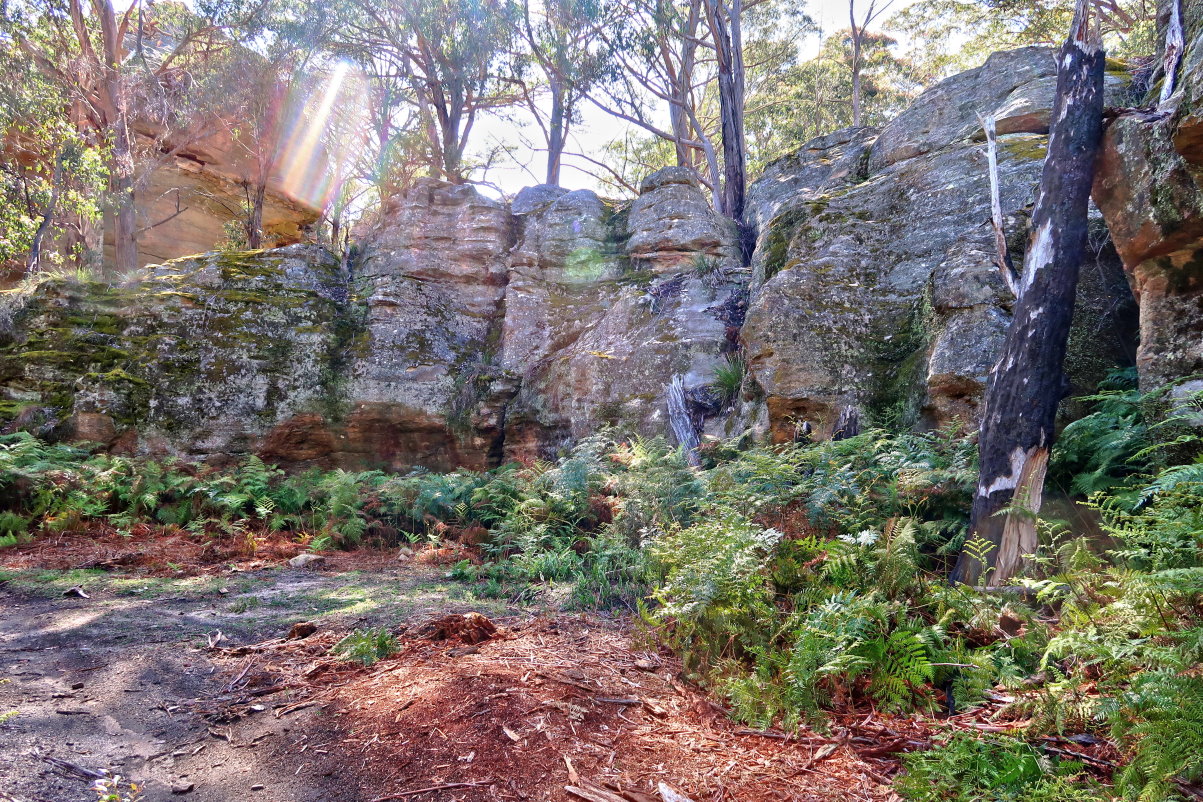 Mountains: Temple of Doom, Newnes S F, NSW, Australia