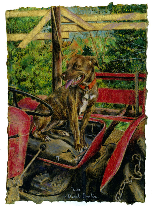 Daniel Baxter Art: Pet Portraits