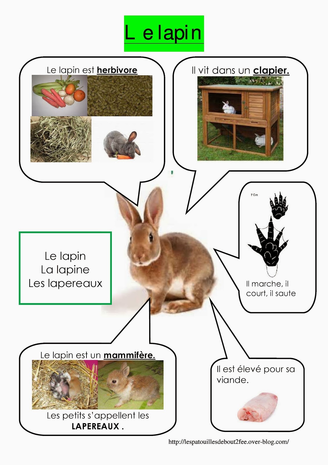 S'épanouir pour bien grandir: Histoire Roule galette, lecture et activités