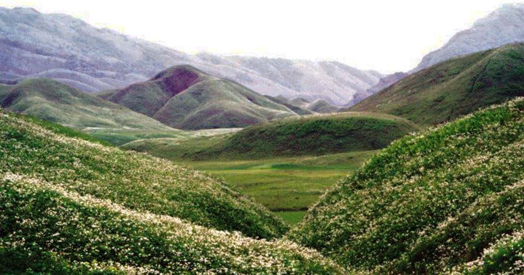 Valley Of Flowers Dzukou valley Nagaland - avalshe98