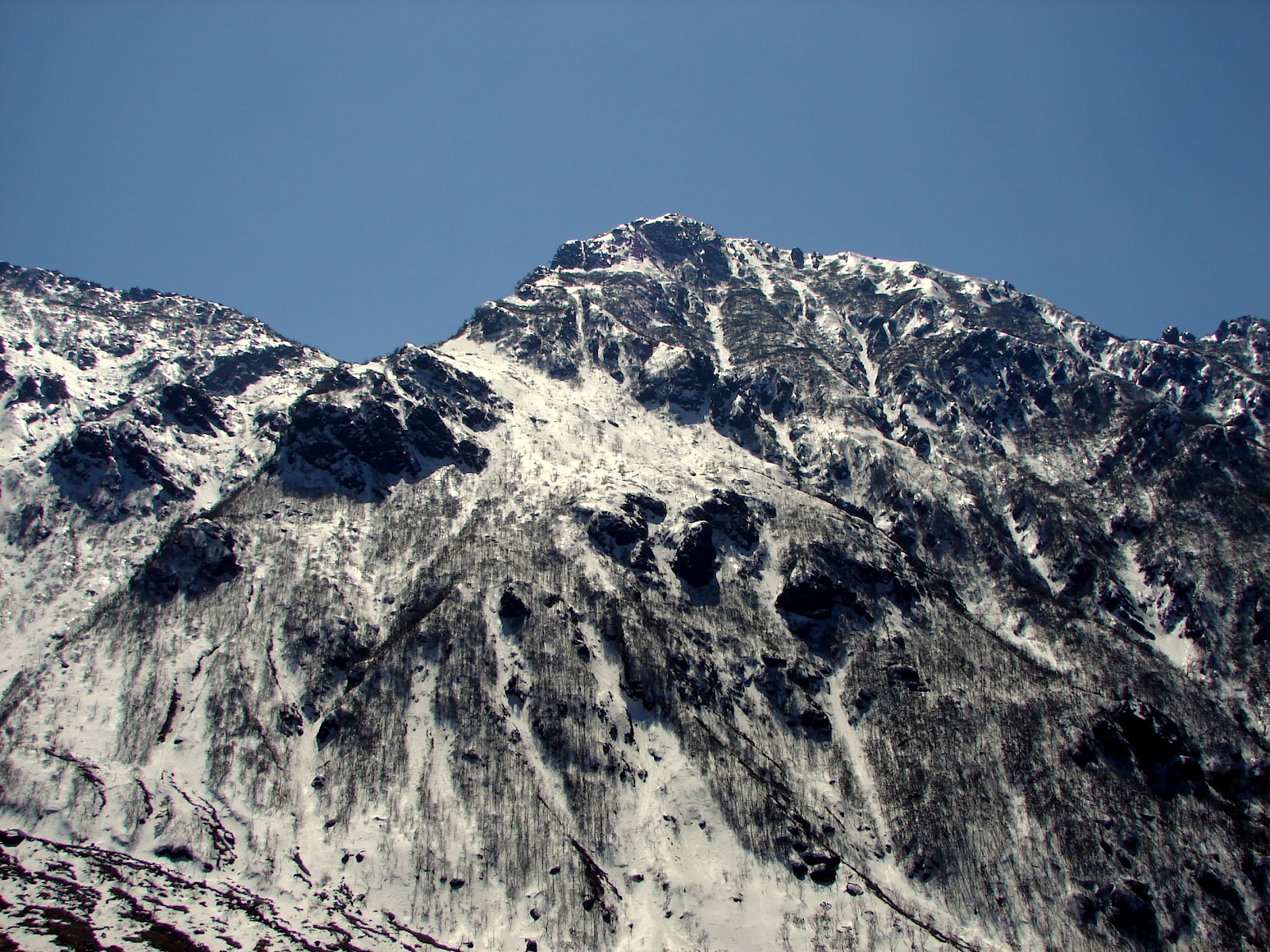 Destination Tshangu - Day 2