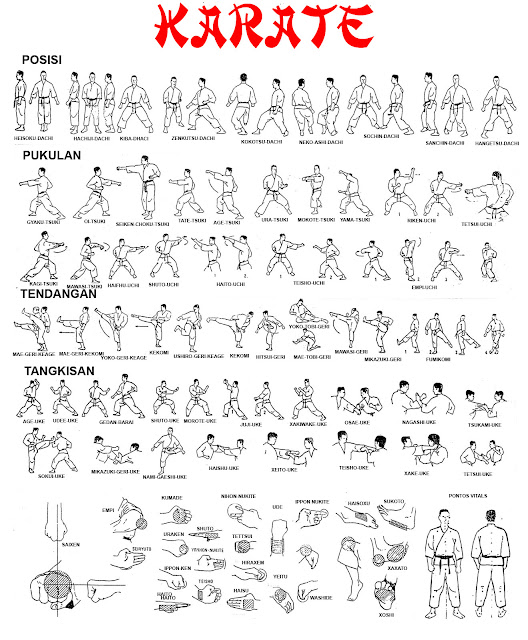 INKANAS KALIMANTAN BARAT: Nama-Nama Gerakan Dasar Karate