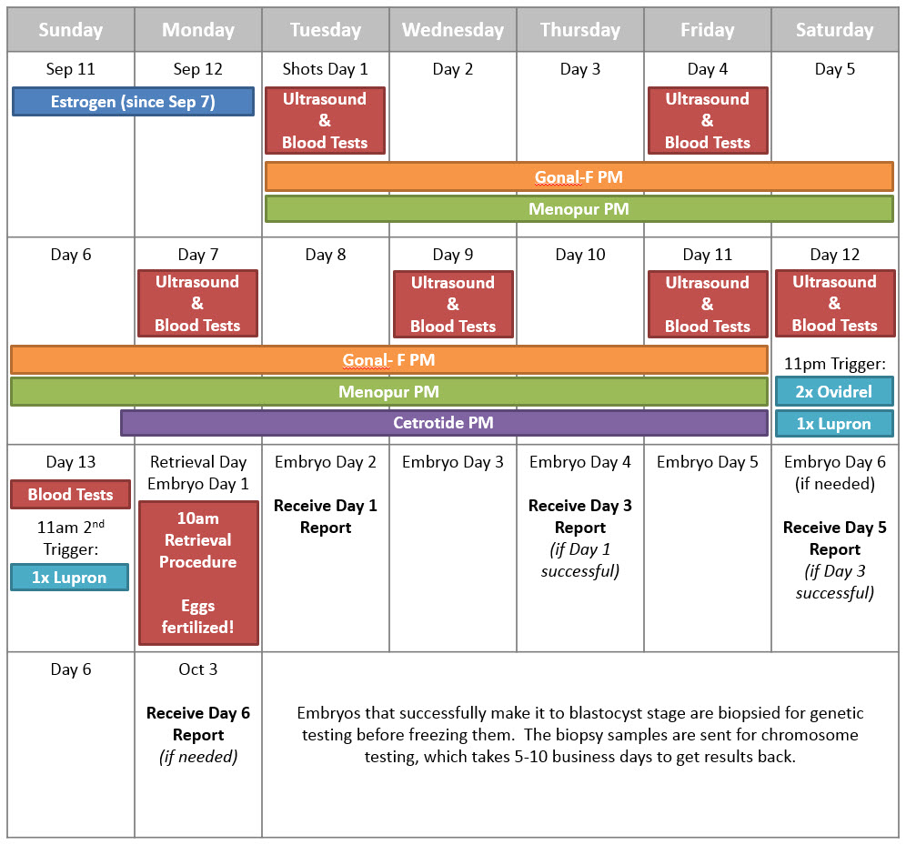 Elusive Eggs: September 2016 - IVF #4, Trigger Time!