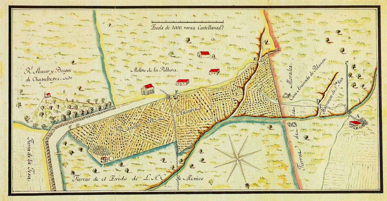 Polanco: El nombre de Polanco