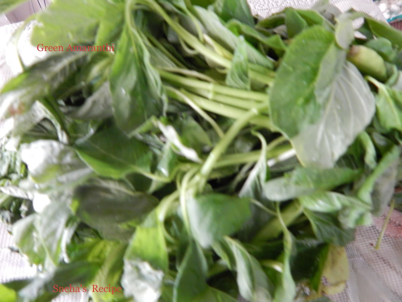 Red and Green Math (Lal & Hirwa Math)/Amarnath - Sneha's Recipe