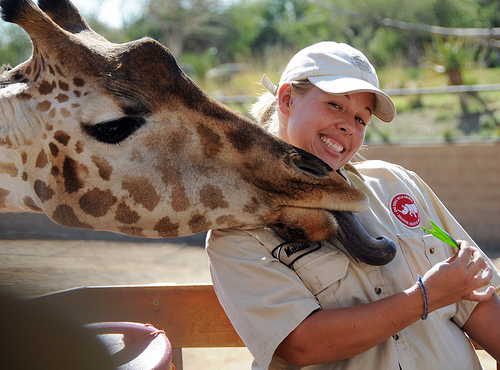 Zoo News Digest: Why Do You Work In A Zoo?
