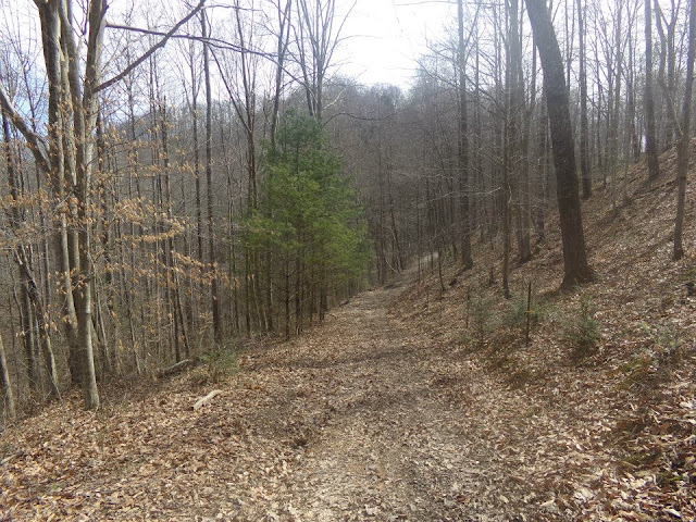 Diamonds in My Coal bucket: Appalachian Language - Holler