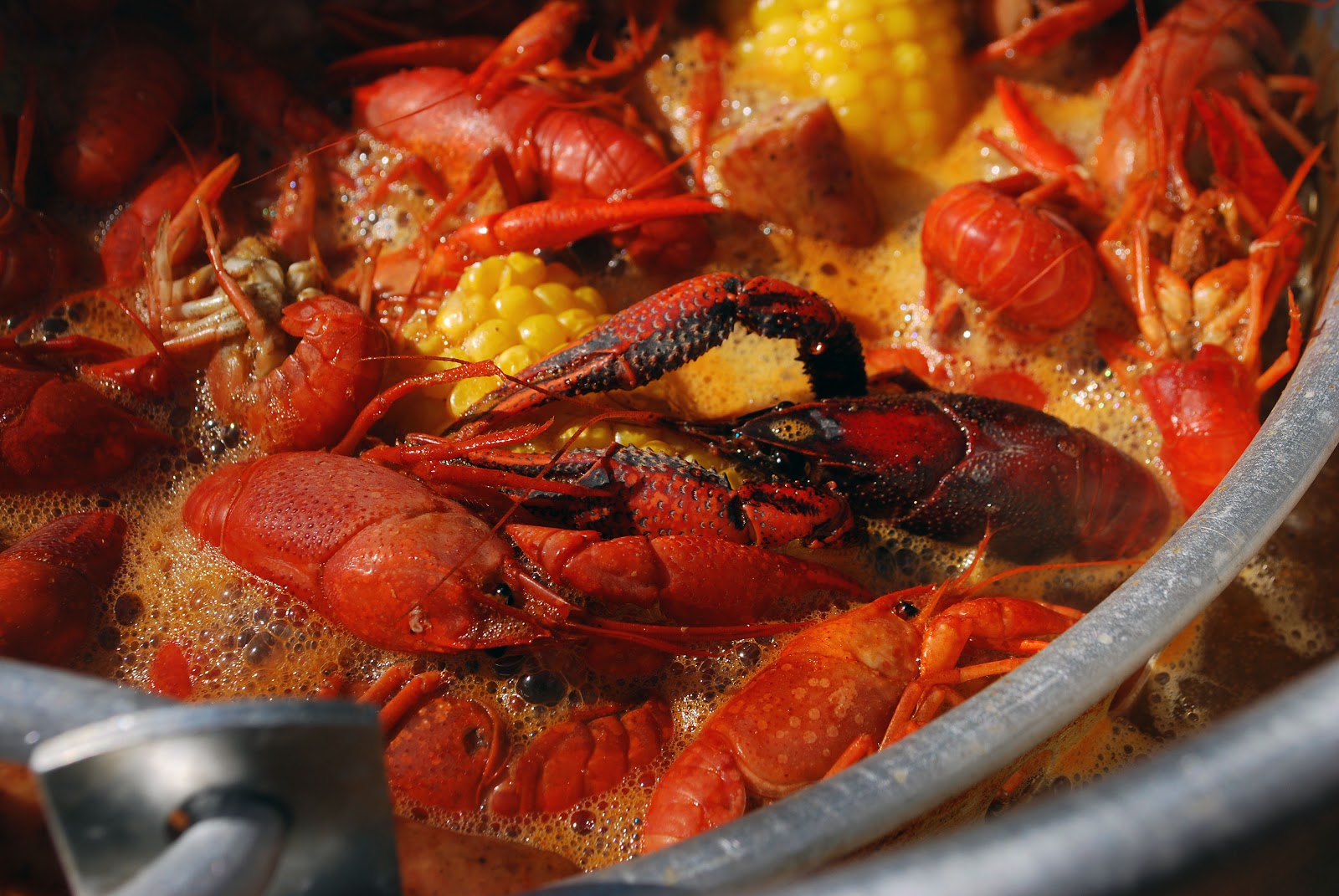 Jesus Is: Crawfish Already