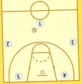 Basketball: Posiciones de un equipo de baloncesto