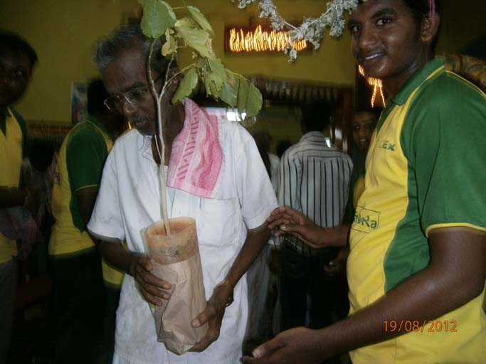 Pillars of India: Tree Saplings distribution by Pillars of India and ...