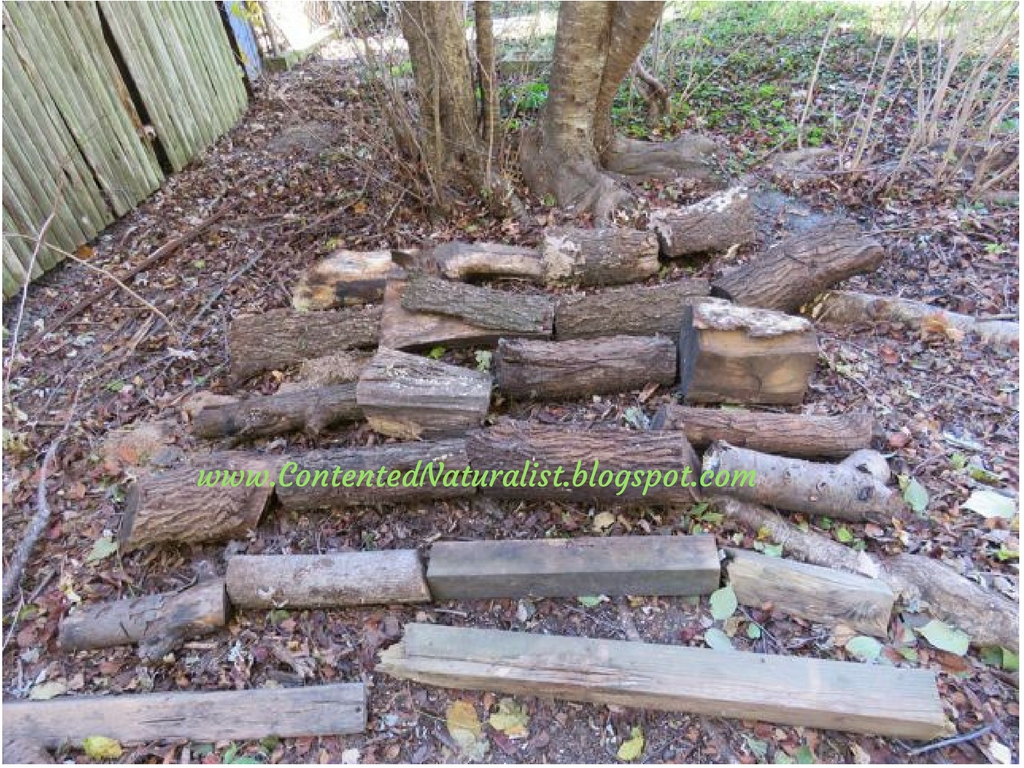 The Contented Naturalist: Create Shelter: Build a Log Pile for Wildlife