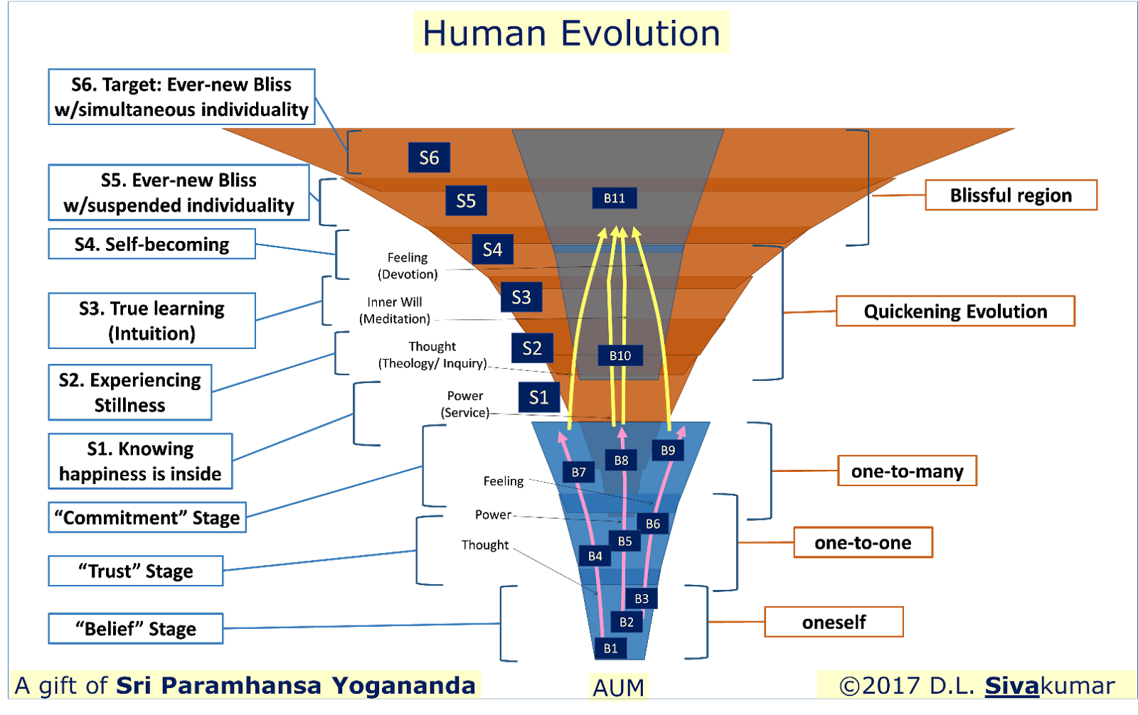 Section 5 Human Evolution TCE 22 24 section-5-human-evolution-tce-22-24