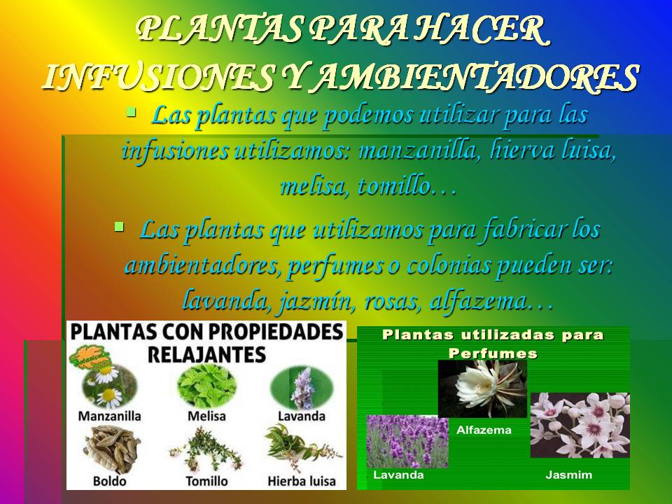 Cosas de niños para la escuela: TODO SOBRE LAS PLANTAS