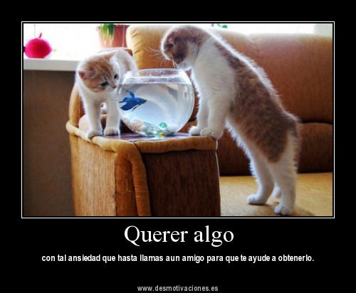 Fotos/ imagenes con frases para descargar | IMAGENES, FRASES, POEMAS, PARA FACEBOOK, DE AMOR