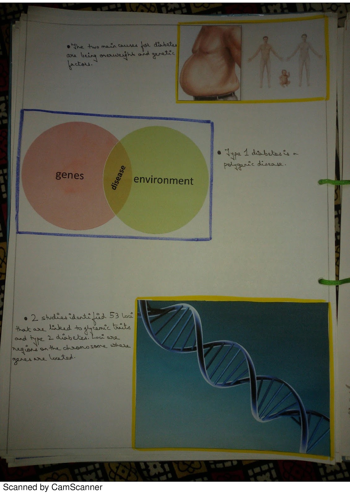 Class 12 SCIENCE Practical Readings and Projects: ISC Biology Project ...
