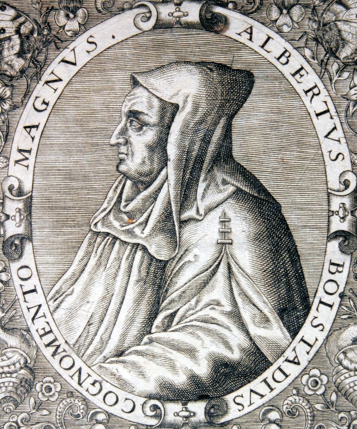 Jornal Despertar: ALBERTO MAGNO: O DOCTOR UNIVERSALIS