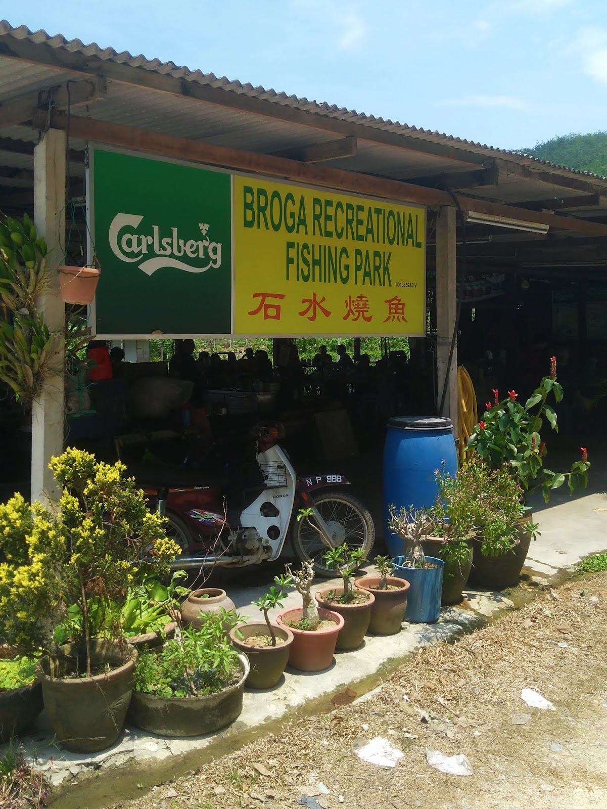 Venoth's Culinary Adventures: Broga Recreational Fishing Park @ Broga ...